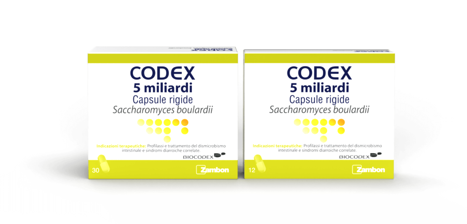 Foglio illustrativo Codex Capsule | Codex Intestino