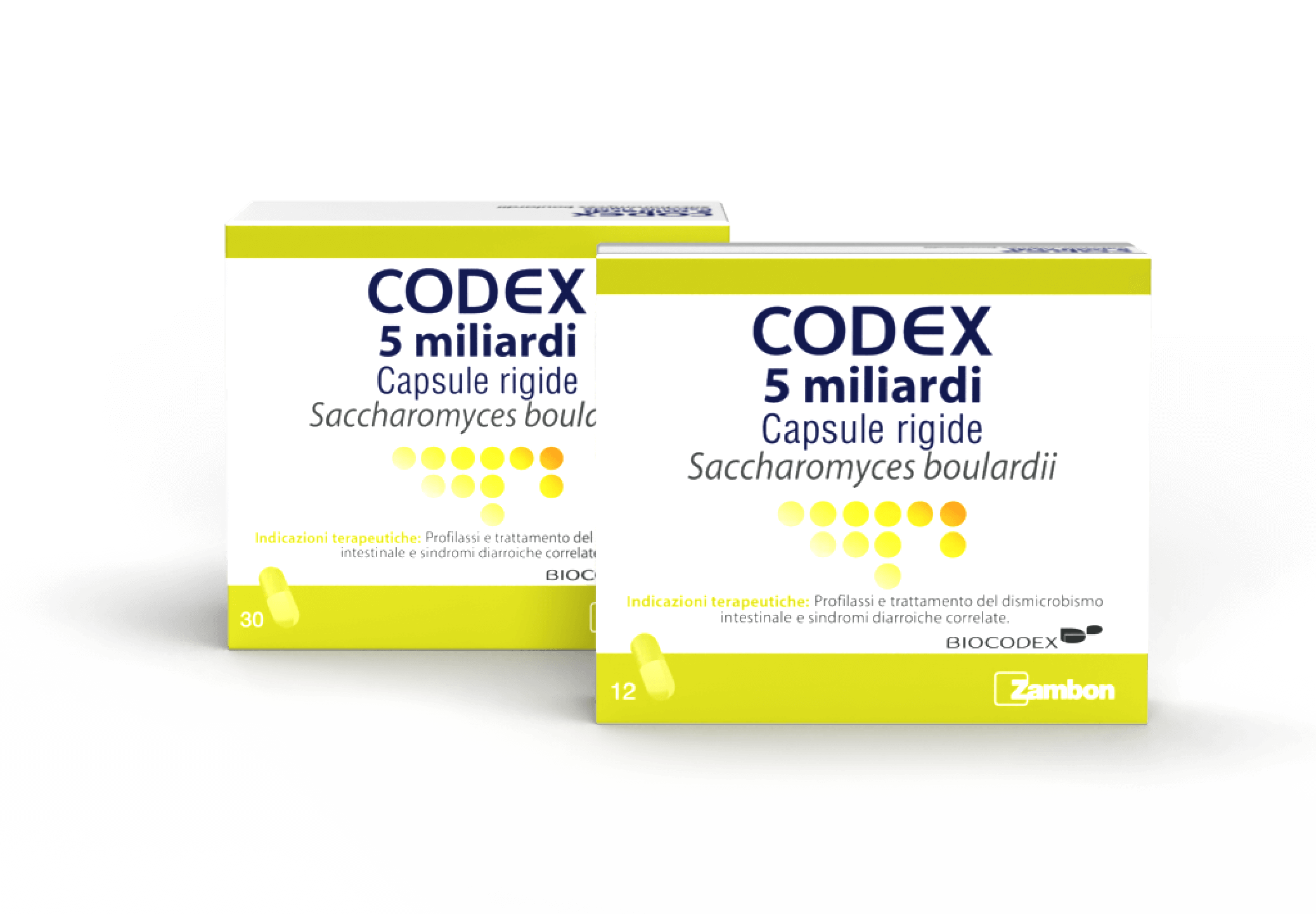 Codex Capsule | Codex 5 miliardi in capsule